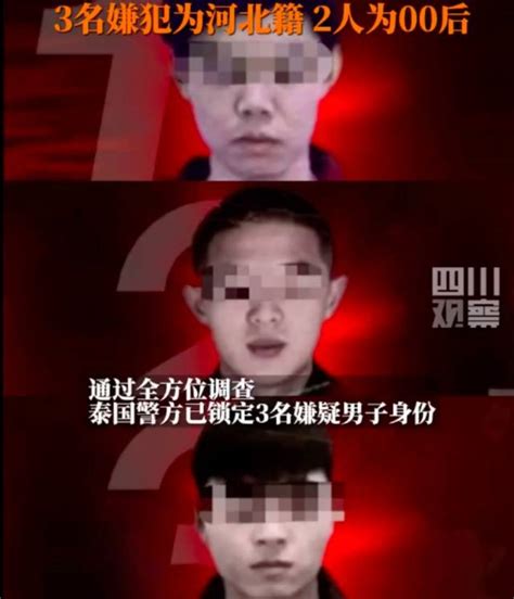 最新进展！中国22岁女留学生在泰国遭绑架遇害：3名嫌犯为河北籍，2人为00后嫌疑人死者警方