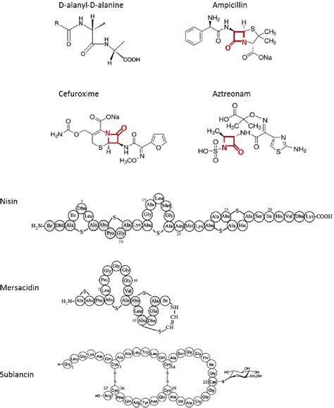 Figure 11 From Bacillus Subtilis Extracytoplasmic Function Sigma Factors Control Antibiotic