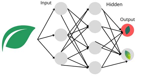 Mango Leaf Disease Image Classifier 🥭 🍃 🍂 By Tulasi Nakka Medium