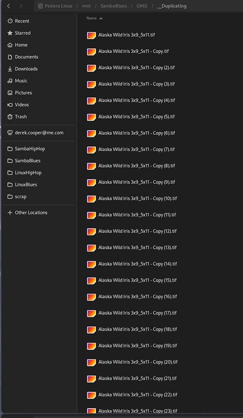 linux paste file multiple times in same folder linux level1techs