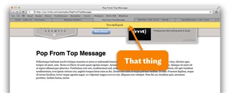 Pop From Top Notification Css Tricks