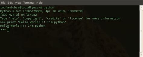 Como Instalar Python Para Programar 2024 BigBayData