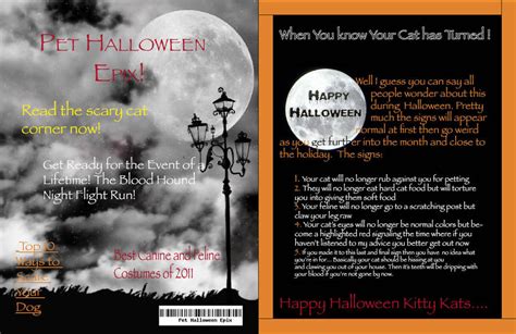 Indesign Magazine Assignment By Ashski On Deviantart