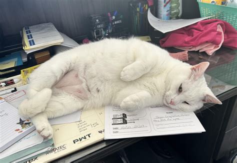 Background And Attributes