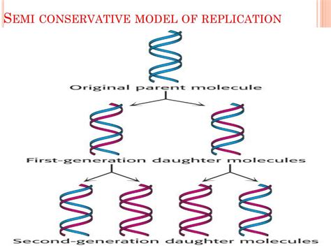 Ppt Replication Powerpoint Presentation Free Download Id 7121321