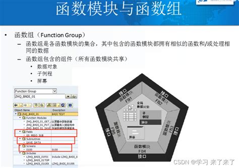 Abap 函数abap Pass Value什么意思 Csdn博客