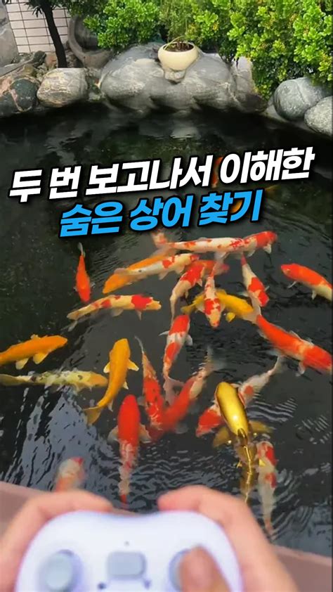 센스있는 선물이 필요할때 선물마켓 제품이 궁금하시다면 본문을 참고해주세요👇🏼 💌 댓글을 자유롭게 남겨주시면 상품 정보를 바로 보내드립니다 930 치즈케이크 모양