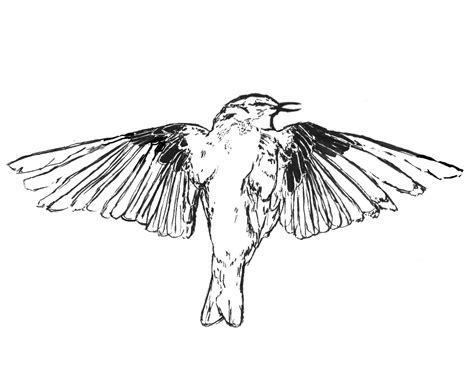 How To Draw A Dead Bird Easy