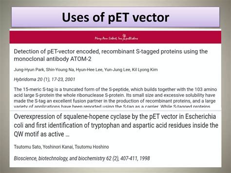 Pet Vector Plasmid For Expression By T7 Rna Polymerase Pptx