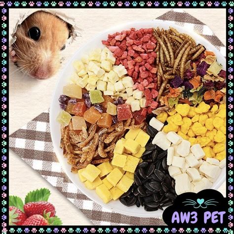10g Hamster Snacks Hamster Treats Testing Package Makanan Hamster Dried