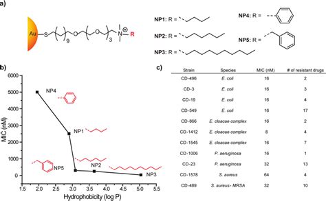 Functionalized Gold Nanoparticles As Antimicrobial Agents A