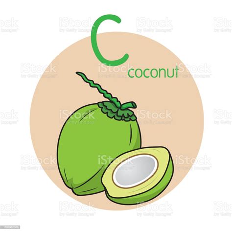 알파벳 문자 C 어퍼 케이스 또는 영어 학습 연습 Abc를위한 대문자와 코코넛의 벡터 그림 코코넛에 대한 스톡 벡터 아트 및