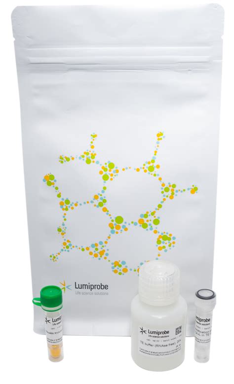 Ribo488 Rna Assay Kit Compatible With Plate Readers