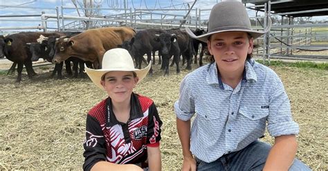 Best Learnt On The Back Of A Mini Bull Future Rodeo Champions Offer A