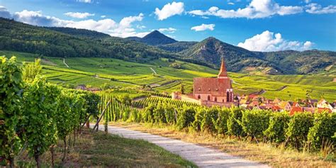 Gewürztraminer Wine Guide 101 Winepros