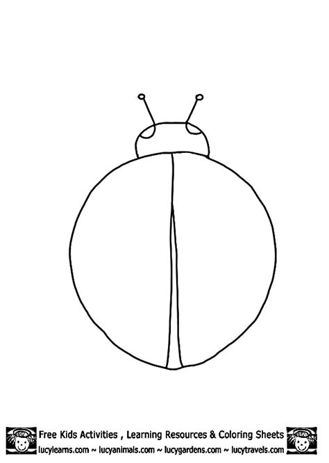 Ladybug Outline No Spots