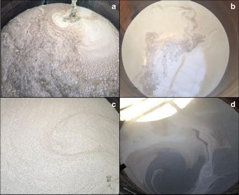The Visual Aspect Of Foam Formation In Yeast Tanks Treated In The