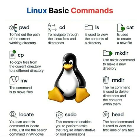 Linuxbasics Linuxcommands Learnlinux Codingtips Terminalcommands Aysha Musthafa