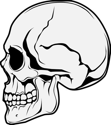 Top 999 Skull Images Amazing Collection Skull Images Full 4k