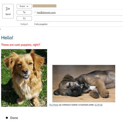 Insert Word Document Into Email Using VBA
