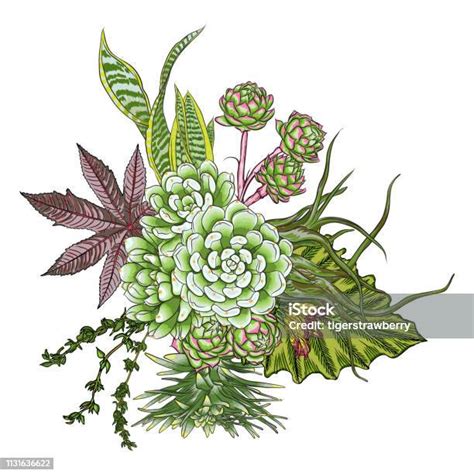 녹색 다채로운 즙이 많은 에코 베리 디자인 꽃다발입니다 현대 유행 작풍에 있는 모방 수채화 자연적인 선인장 꽃다발 모든 요소는 실제 공장에서 손으로 그려 절대적으로 고유