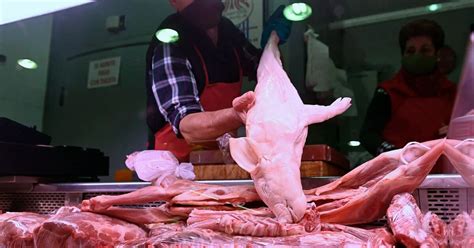 Virus De Nipah Gremio De Productores Revela Si Es Seguro Comer Carne