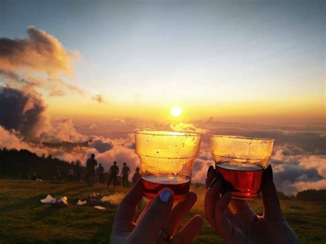 გომისმთა ზღაპარი ღრუბლებს ზემოთ კოტეჯებში განთავსება გურია 0 Gel ფენომენალური ტურები