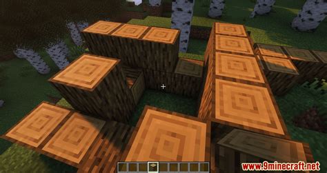 Precise Block Placing Mod 1minecraft