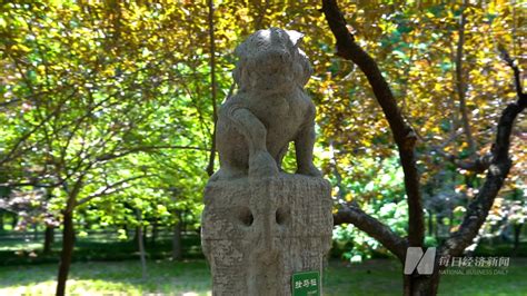 映巷lab〡“诗意栖居，绿林长安” 西安“宝藏”公园盘点之沣河森林公园 每日经济网