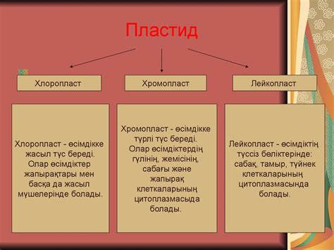 Мембраналық органоидтар презентация онлайн