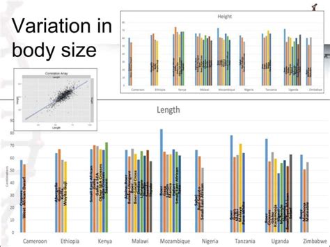 Population Structure And Genetic Improvement In Livestock Pptx