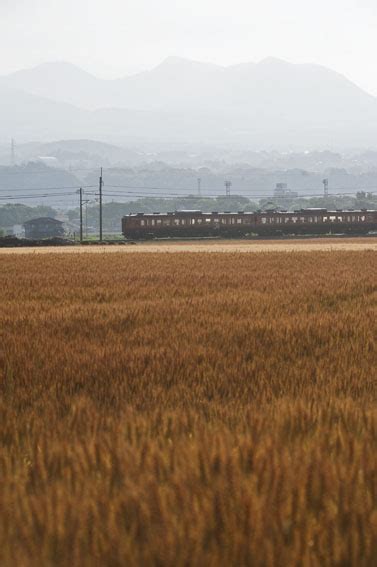 みすず刈る信濃の撮ってお記 麦秋の輝き 赤城山麓を走る