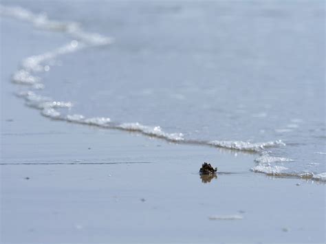 G9m2 40 150 올리지 않은 윤슬 사진 082 Photogrㅐphy