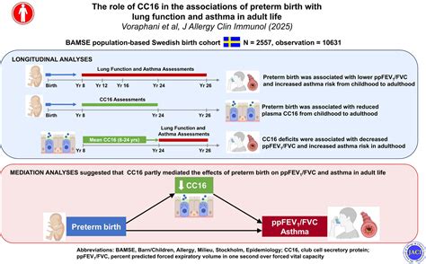 The Role Of Cc16 In The Associations Of Preterm Birth With Lung