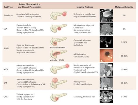 There Are More Than 20 Types Of Epithelial And Nonepithelial Pancreatic Cysts But The Majority