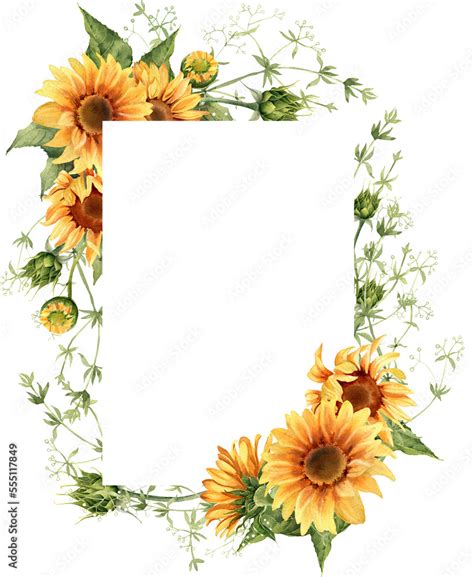 Sunflower Frame Watercolor Floral Illustration Yellow Flowers For