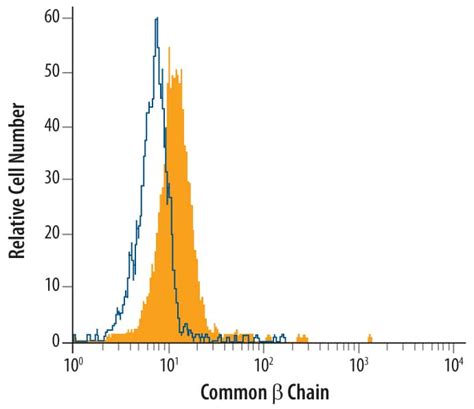 Human Common Beta Chain Antibody Af906 Randd Systems