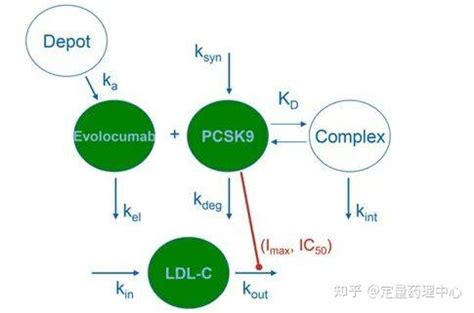 定量药理 靶向介导药物处置模型在Evolocumab给药方案选择的应用 知乎
