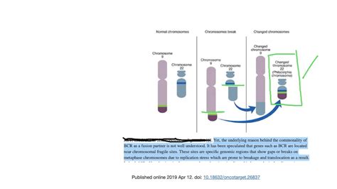 Solvedthe Philadelphia Chromosome A Is Sufficiently Specific For The Diagnosis Of Cml B Is A