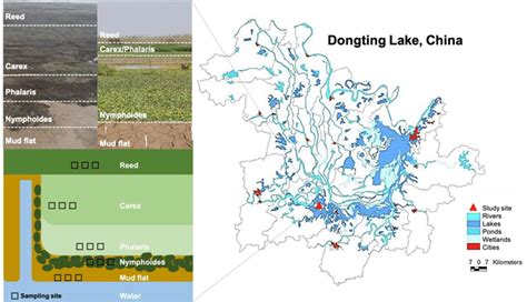 Location And Distribution Of Sampling Sites In Dongwa Wetland Of Download Scientific Diagram