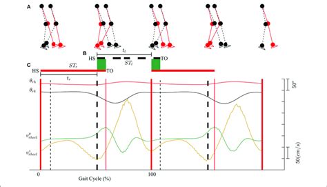 A Diagram For Human Walking At Different Gait Events Walking Speed Download Scientific
