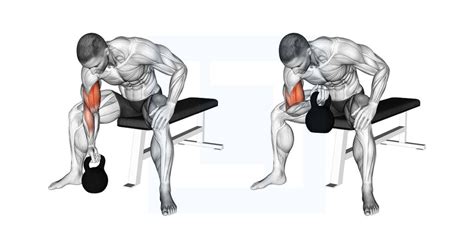 Dumbbell Seated Bicep Curl Guide Benefits And Form