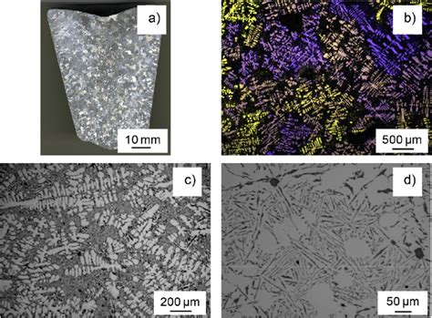 Macrostructure A Microstructure B C And Detail Of The Secondary