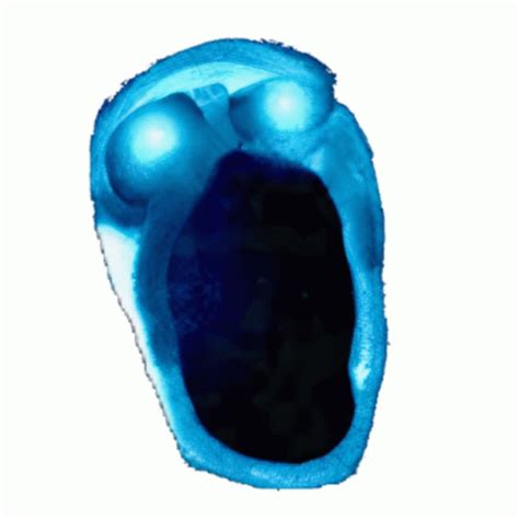 Depth Sticker Depth Discover Share GIFs