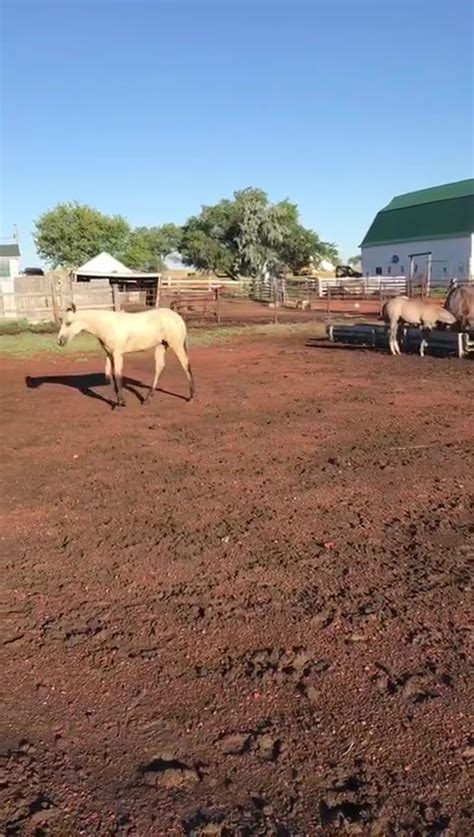 Lazy Js Ranch Home Facebook