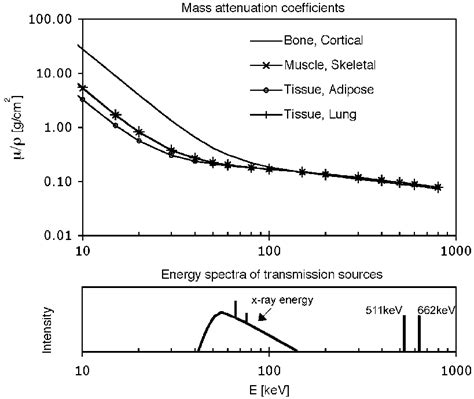 Total Mass Attenuation Coefficients For Several Biologic Materials