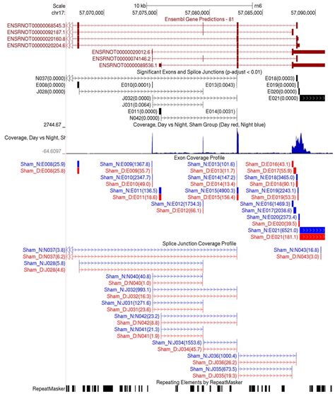 Junctionseq Detection And Visualization Of Differential Splicing In Rna Seq Data Rna Seq Blog