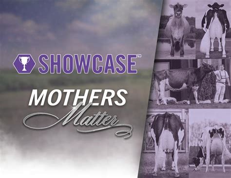 Select Sires Showcase 2023 By Select Sires Issuu