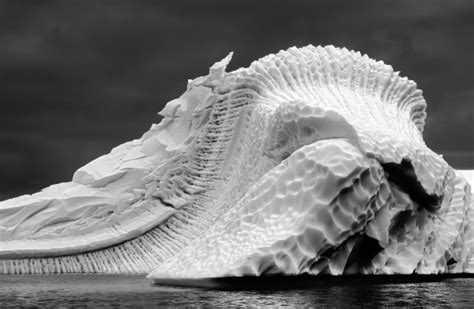 Ice Fossil The Mono Awards