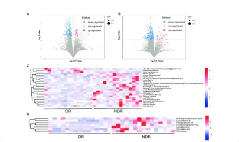 De Metabolites Between Dr And Ndr A Volcano Plot Indicating Download Scientific Diagram